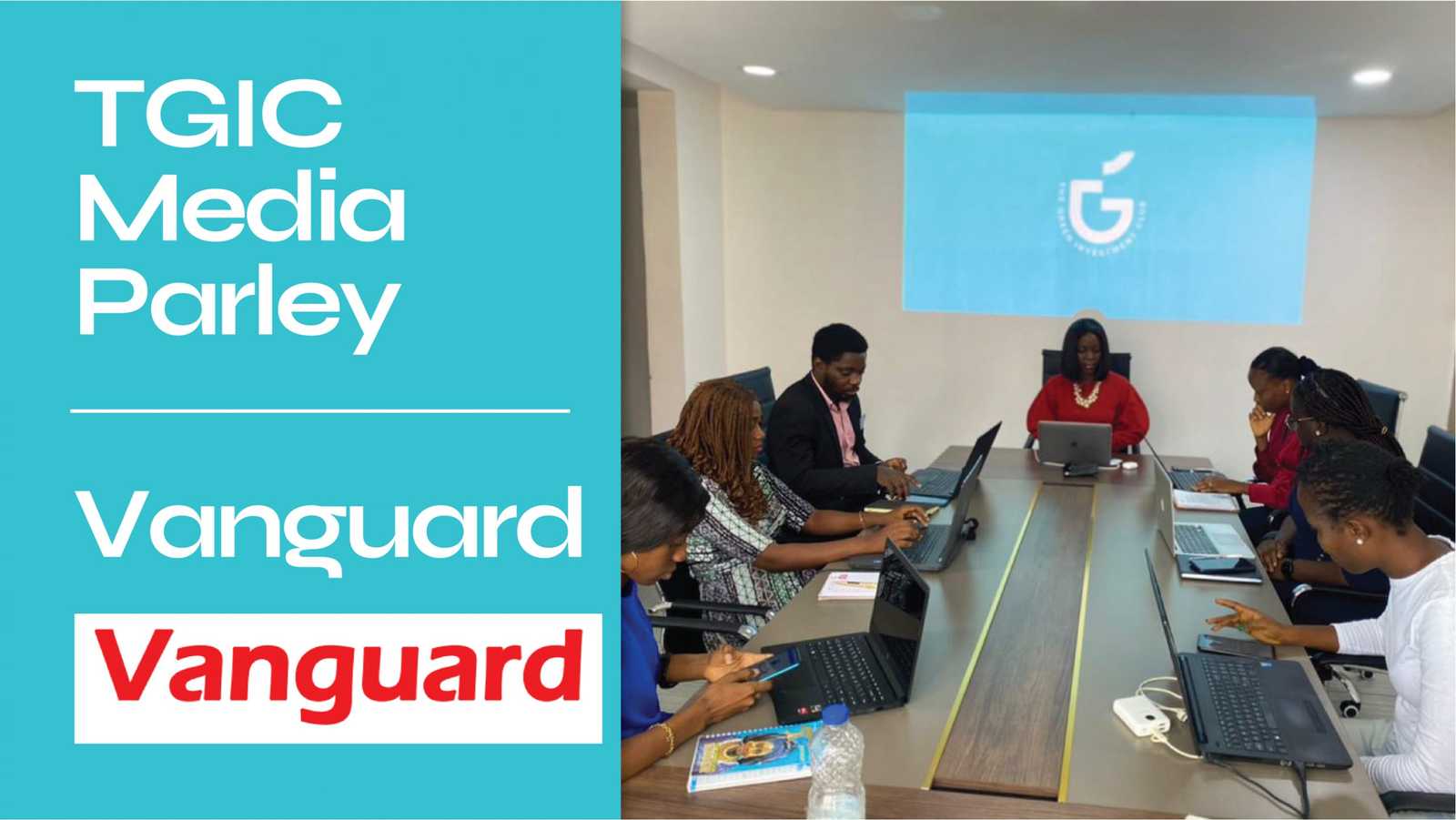 Vanguard – TGIC set to release 3 year report | The Green Investment ...